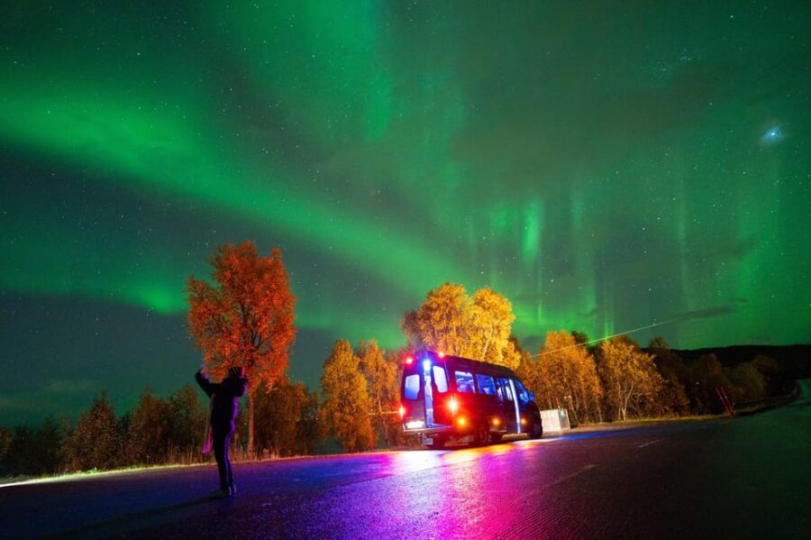 Harstad: Northern Lights Hunt on Hinnøya Island - Who Will Love This Tour?