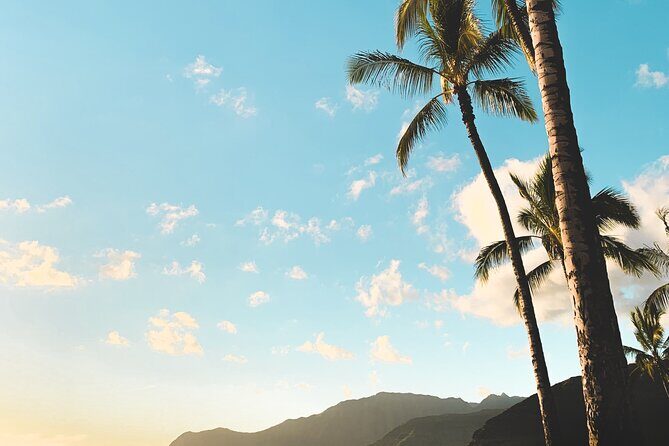Hawaii, Oahu 1-Day Local Tour - Practicalities and Value