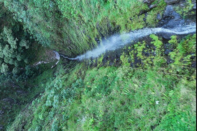 Hawaii Oahu Canyon Rappel & Hike Expedition Tour - The Sum Up