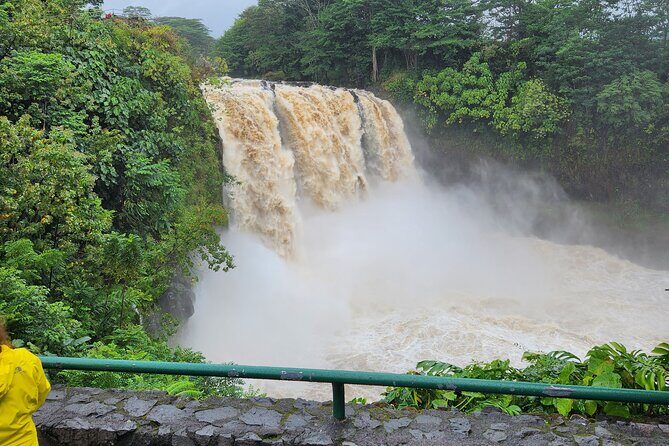 Hawaii Volcanoes, Waterfalls, Beaches & Hilo Highlights Day Tour - An In-Depth Look at the Tour