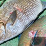 Hawaiian Reef Spearfishing Lesson for Beginners - FAQ