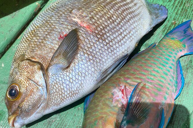 Hawaiian Reef Spearfishing Lesson for Beginners - FAQ