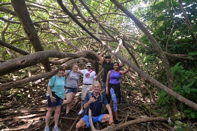 Hawaiian Waterfall Hike - FAQs