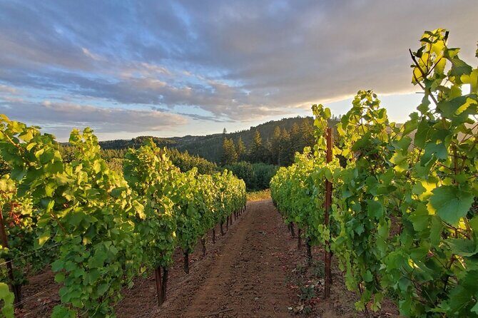 Heart of Willamette Winery Pass : Wine Tastings and Discounts - A Deep Dive Into the Heart of Willamette Winery Pass