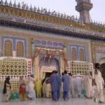 Heer Ranjha Tomb & Jhang City Pvt Guided & All-Incl. 1-day Tour - What’s Included & What’s Not