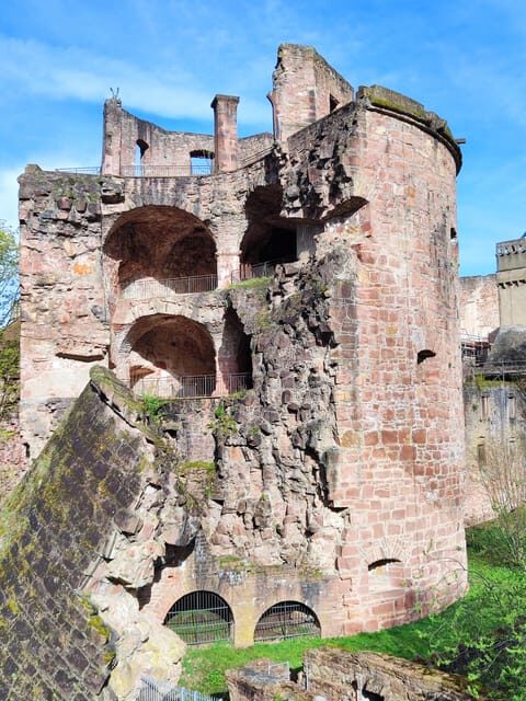 Heidelberg Castle - The Highlights in 1 h EXPRESS TOUR - Value and Practicalities