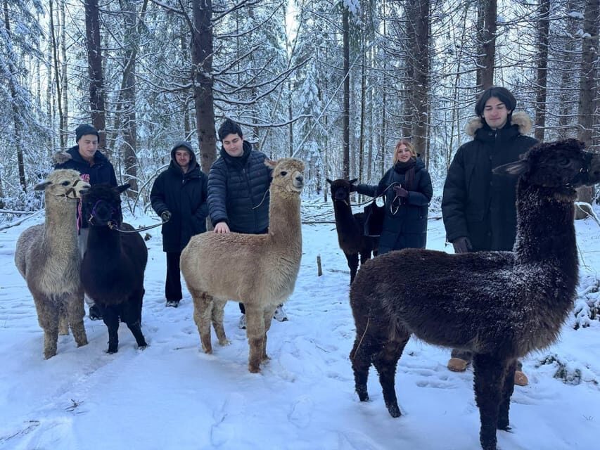 Helsinki: Alpaca Farm Tour with Guided Walk (private) - The Experience’s Appeal: Who Will Love It?
