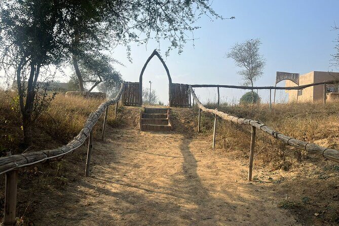 Heritage Walking Tour in Jaipur - A Walk Through Jaipur’s Heart and Soul