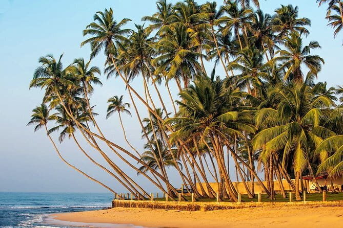 Hidden Temples and Secluded Coastlines from Galle City - Weherahena Buddhist Temple: The World’s First Tunnel Temple