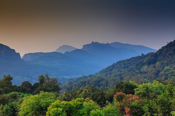 High Knuckles Trekking from Kandy - What Do Travelers Say?