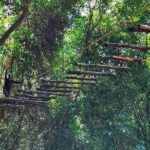 High Ropes Course in Madikeri - Frequently Asked Questions
