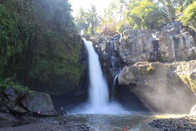 Highlights of Ubud: Nature, Rice Terrace, Waterfall, Temple and more - The Sum Up: The Value of a Well-Organized Bali Day Trip