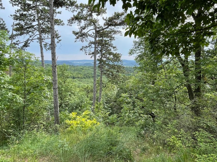Hike, nature & picturesque view over Budapest - Discovering the Buda Hills: An Authentic Nature Escape