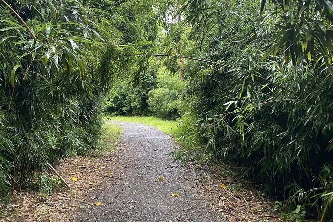 Hike to Connect with Nature and a Power of a Huge Waterfall