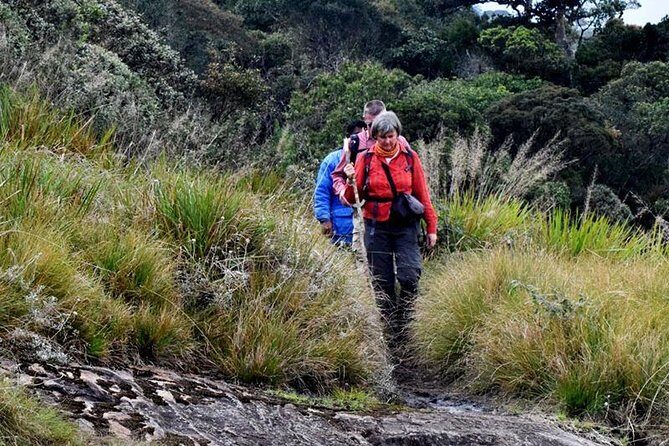 Hike to Kirigalpotta Mountain Via Horton Plains National Park - The Practicalities
