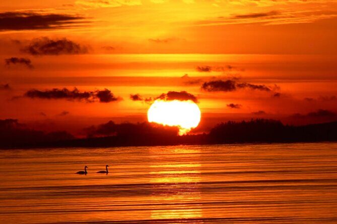 Hilton Head Sunrise Dolphin Tour - FAQs