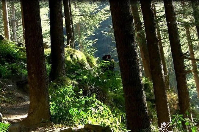 Himalayan Cottage Camping in Kasol (2n3d) - Cultural Evenings and Local Flavor
