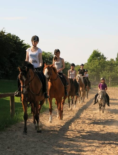 Hirschburg: Day at the stables - Who Should Consider This Experience?