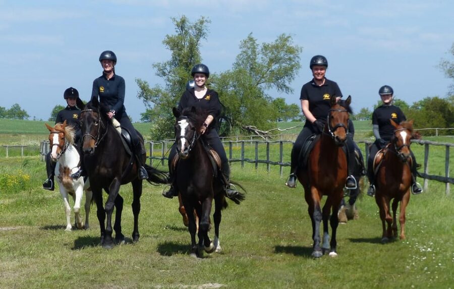 Hirschburg: Horseback riding for beginners - An In-Depth Look at the Experience