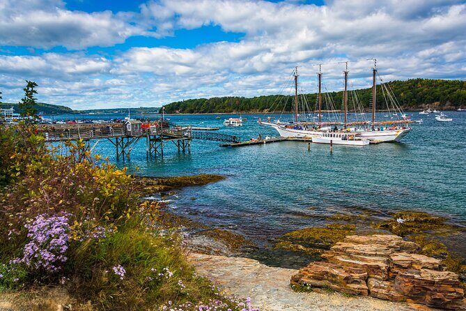 Historic Bar Harbor Self-Guided Walking Audio Tour Guide - What Visitors Are Saying