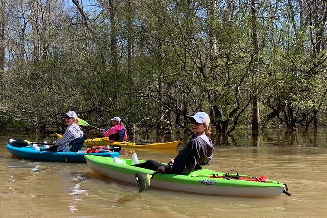 Historical Scenic Bayou Swamp Water Trail Kayak Tour - Why Price and Value Matter