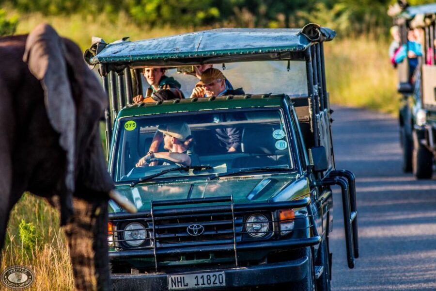 Hluhluwe-Imfolozi: Big 5 Full or Half-Day Safari - The Itinerary: What You’ll Experience