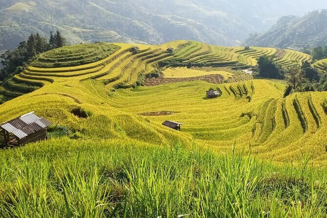 Hoang Su Phi Trekking Tour 3 days 2 nights - What Makes This Tour Special?