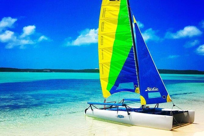 Hobie Cat Sailing with Miami Watersports - What to Expect on Your Hobie Cat Adventure