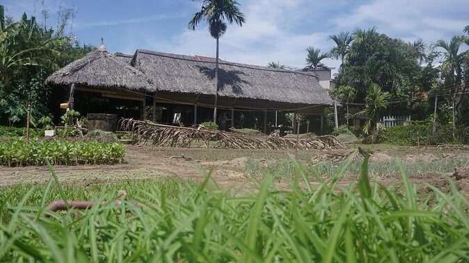 Hoi An cooking class - Why This Tour Offers Great Value