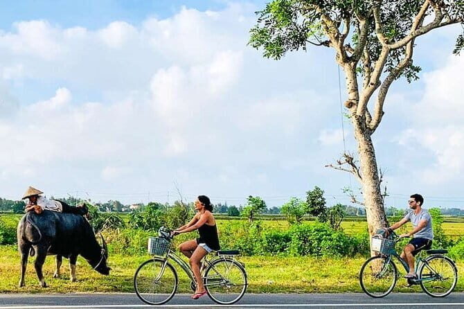 Hoi An Countryside Cycling: Craft Mats, Noodles & Wood Carving - Practical Details and Value