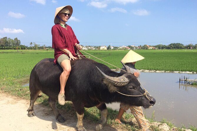Hoi An Rice Farm Tour and Buffalo Riding with Local Home Meal - Practical Details: What to Expect and What to Keep in Mind