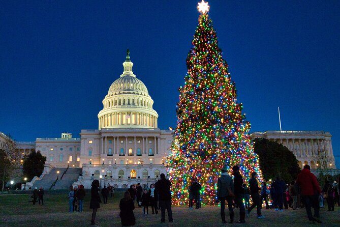 Holiday Lights Private Night Bus Tour of Washington DC - Why This Tour Might Be an Excellent Choice