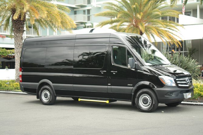 Honolulu Airport Arrival - Sprinter (Van) - In-Depth Look at the Honolulu Airport Private Van Transfer