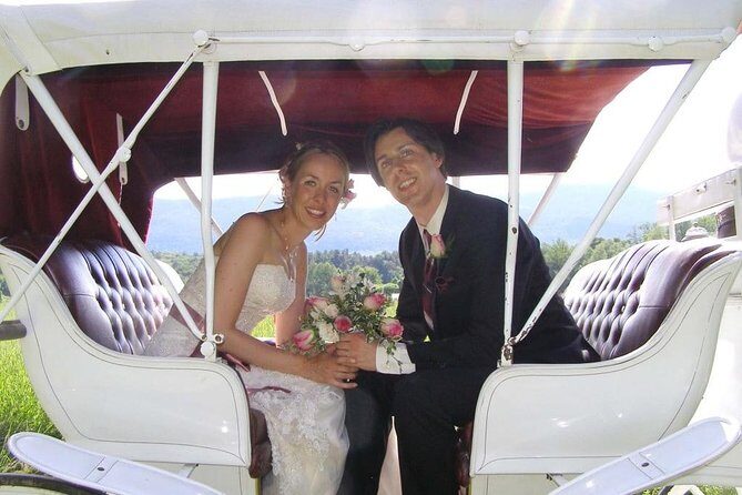 Horse Carriage Romantic Ride (VIP-Private) in Central Park 1964 - The Bottom Line