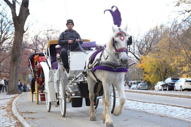 Horse Carriage Tour in New York City's Central Park Small Loop - Practical Tips for Making the Most of Your Ride