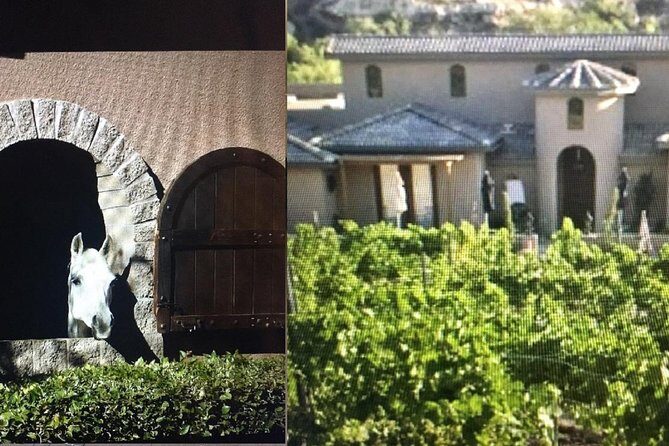 Horse Country Estate and Vineyard Wine Tasting Tour - The Horse Estate Experience: A Glimpse of Arizona’s Equine Heart