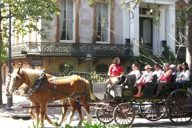 Horse Drawn Daytime Group Narrated Historic Overview Tour - Group Dynamics and Comfort