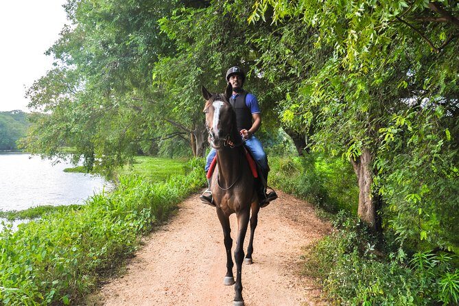 Horse Ride around a Village from Sigiriya - Exploring the Horse Ride Experience