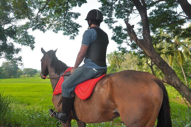 Horse Ride Experience from Dambulla - What Does the Tour Include?