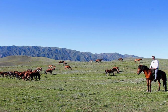 Horse riding adventure in mountains! - Final Thoughts