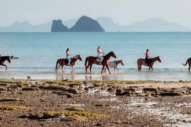 Horse Riding and Beach Trails on Koh Samui - Authenticity and Overall Impression