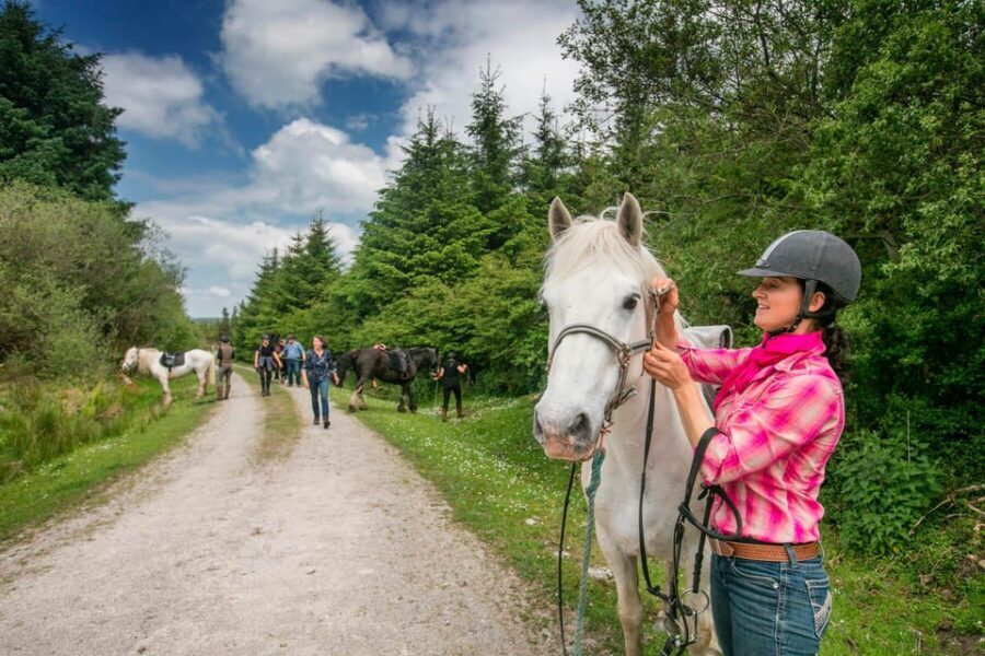 Horse riding the mountain trail. Clare. Guided, 2 hours - The Horses and Guides