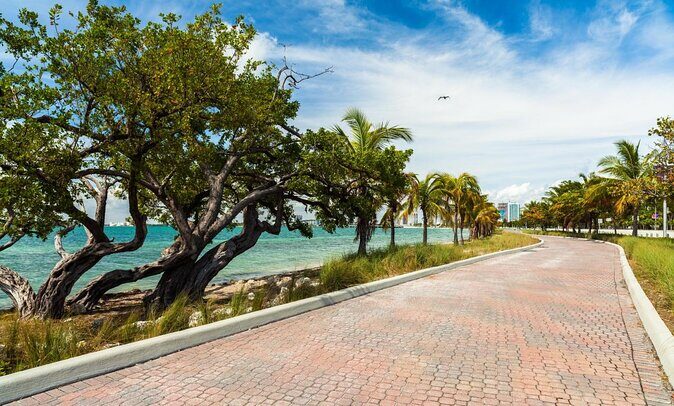 Horse Riding Tour at the Beach in Miami - The Sum Up