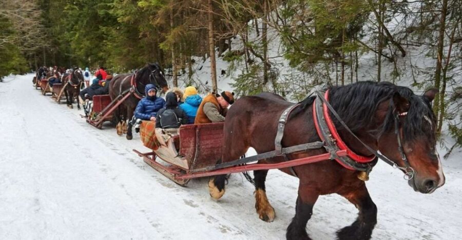 Horse Sleigh 2-3h Ride with Hot Springs or Zakopane Combos - Details That Matter for Planning