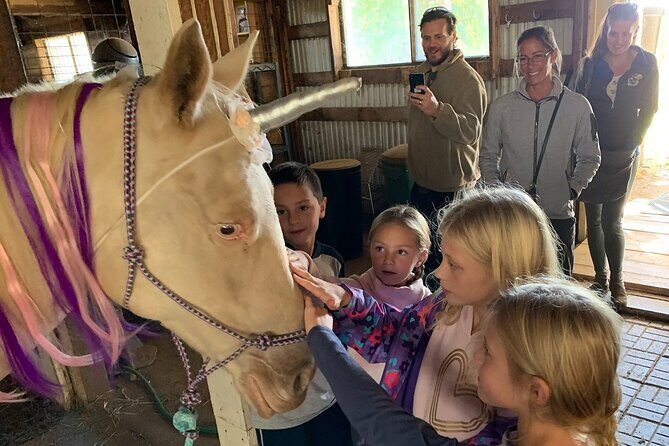 Horseback Rides, Interactions, and Petting Zoo - Starting Point and Schedule