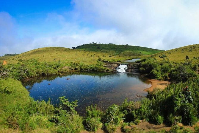 Horton Plains Day Tour with Short Train Journey from Ella - Authenticity and Value