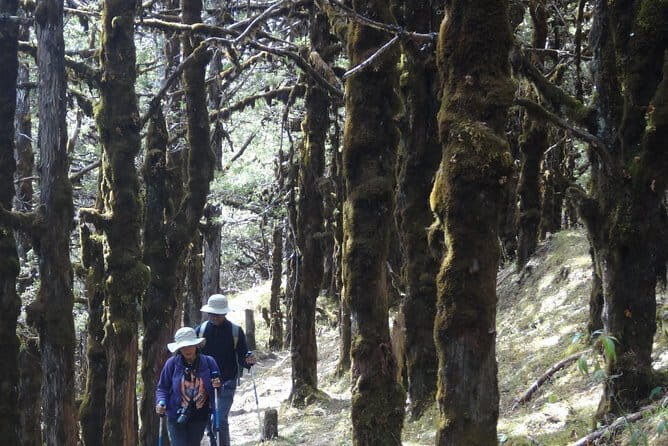 How to travel to Bhutan - Who Should Book This Tour?
