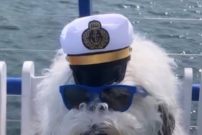 Howl O Ween Doggy Costume Party Cruise - Final Thoughts