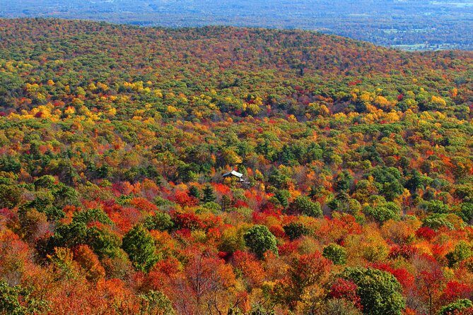 Hudson Valley Fall Foliage Helicopter Tour from Westchester (Shared) - An In-Depth Look at the Hudson Valley Fall Foliage Helicopter Tour