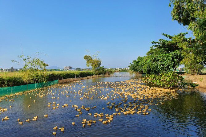 Hue Half-Day Private Tour: Thanh Toan village & Imperial Citadel - Visiting Thanh Toan Village and Bridge